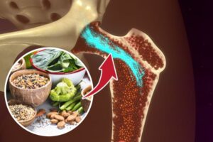 Best Vitamins for Bone Health: Strengthening Your Skeletal System ...